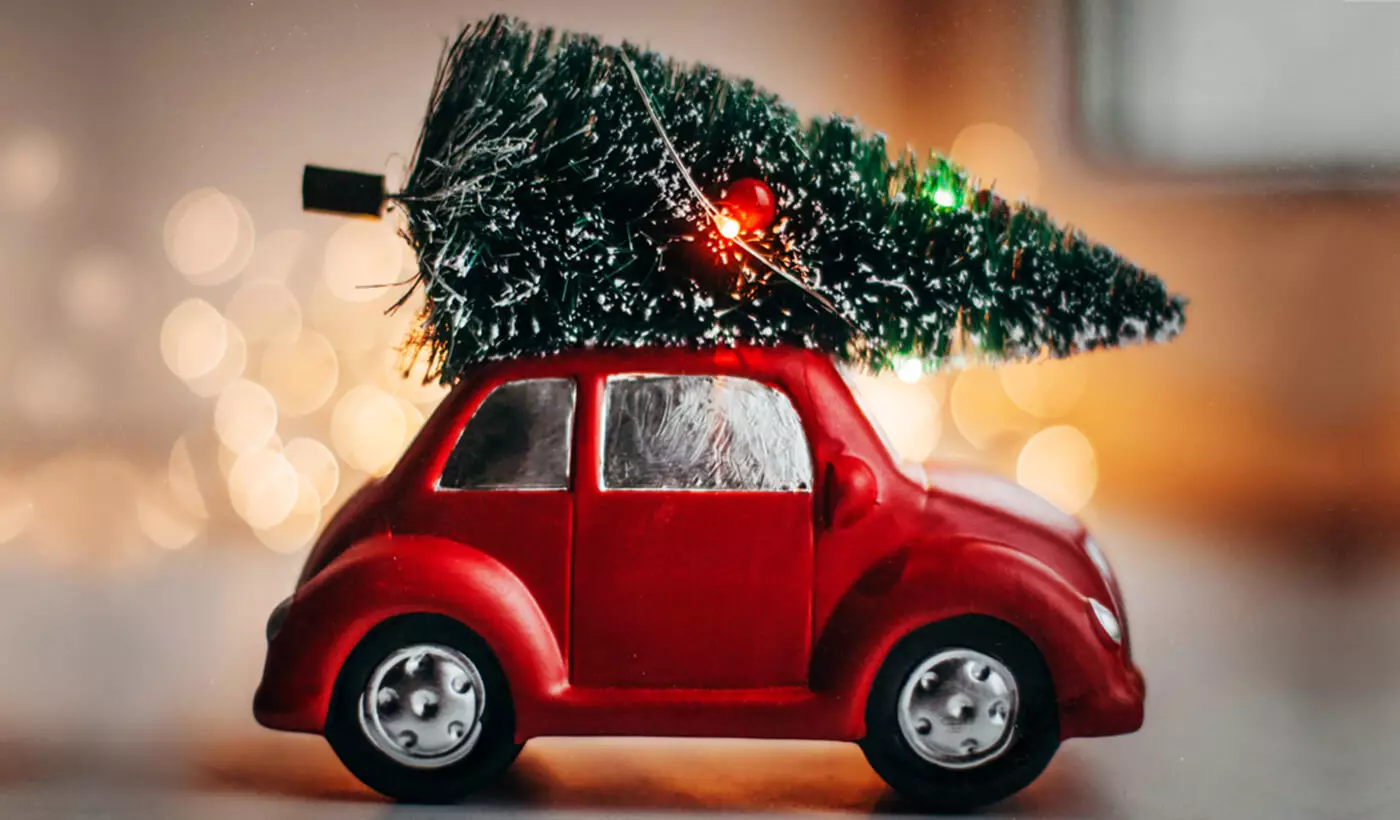 Auto Mit Baum Auf Dach